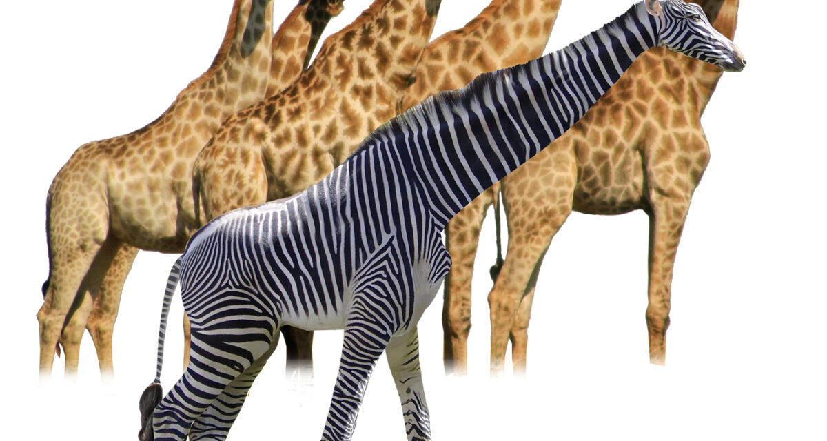 Animal Transformation Photoshop Tutorial