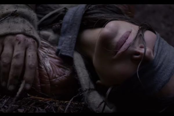 We HAVE To Talk About That Bird Box Movie Ending - Taylor Holmes inc.