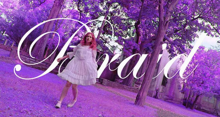 braid-movie-explained-and-discussed - Taylor Holmes inc.