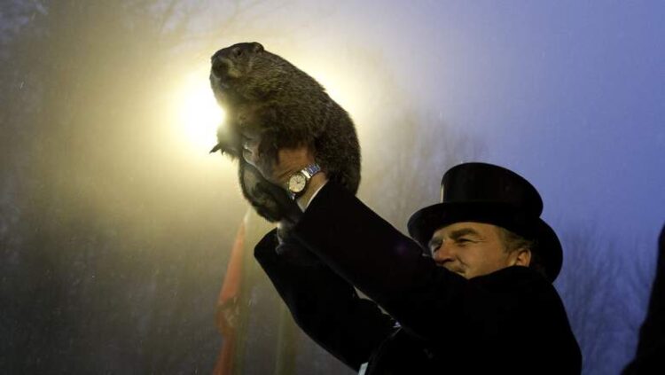 15 Best Endless Loop Films - Taylor Holmes inc.